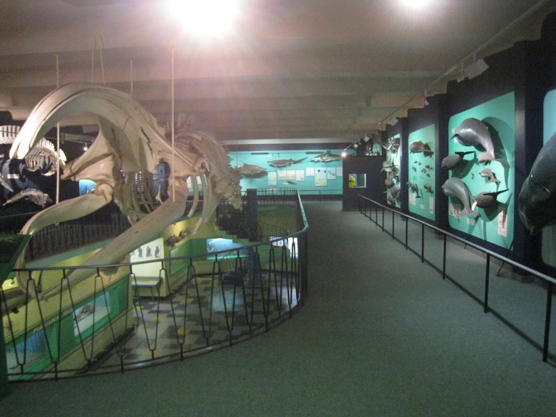 Bay World | Port Elizabeth | South Africa | Modern Overland