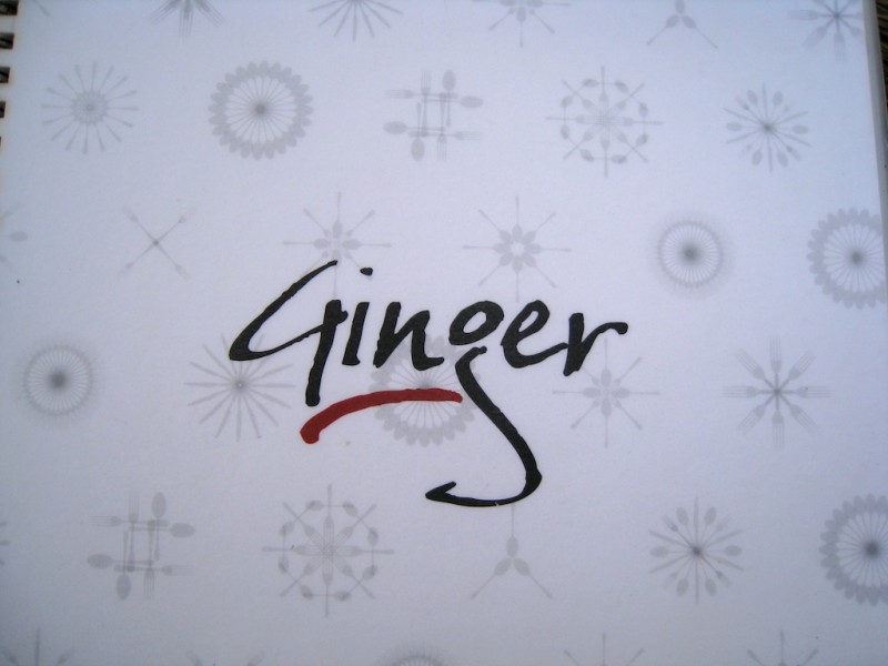 Ginger | Port Elizabeth | South Africa | Modern Overland