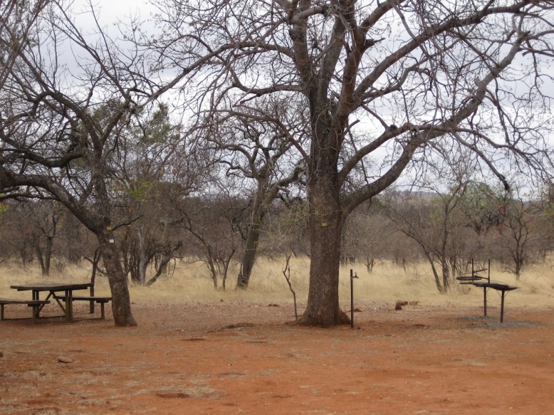 Musina Nature Reserve | Musina | South Africa | Modern Overland