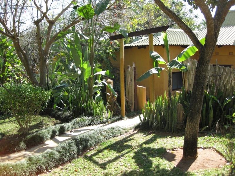 Gecko Lodge | Hazyview | South Africa | Modern Overland