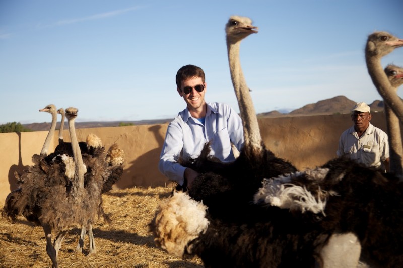 Highgate Ostrich Show Farm | Oudtshoorn | South Africa | Modern Overland